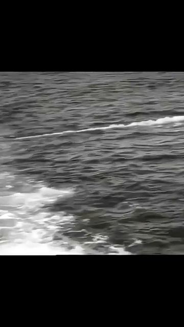 Торпеды и подлодка Италия 1942