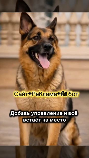 Хаос