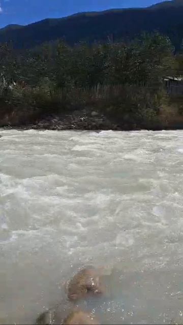 Бурные воды горной реки Местиачала (Грузия) 2025