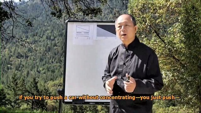 Боевой цигун 29. Определение термина цзинь Ян Цзюньмин