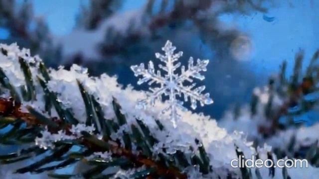 Снежинка» Бальмонт 1903 . проект- Поэтический Оазис