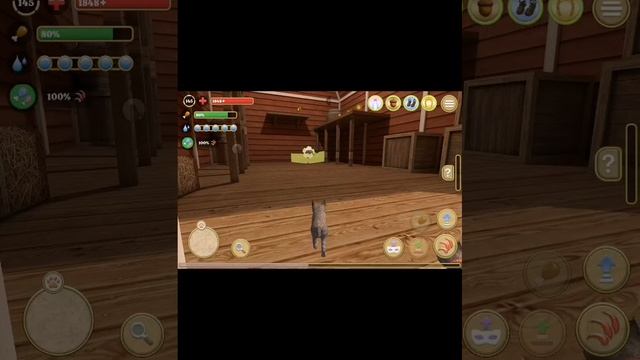 Играю в симулятор кошки за Пиксибоба