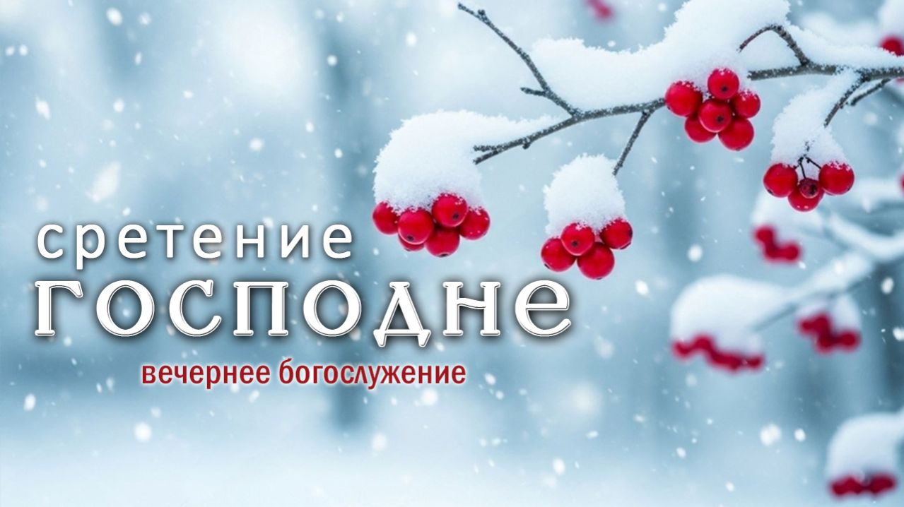 15 февраля 2026 17-00