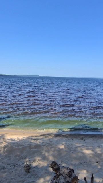 Карелия 2025. Челмужская коса. Онежское озеро. Июль 2025г (Часть 19)