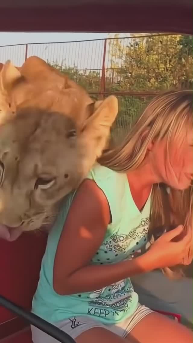 Сафари не для слабонервных