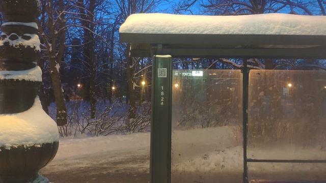 Вечерняя прогулка по Питеру ,Петроградка,метро Горьковская  и так далее