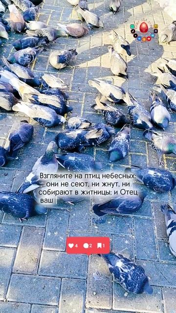 Вы гораздо лучше их...