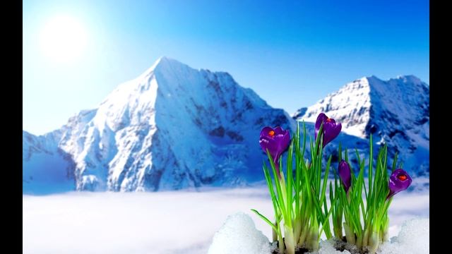 Солнце светит. Сергей Чекалин. The sun is shining. Sergey Chekalin.