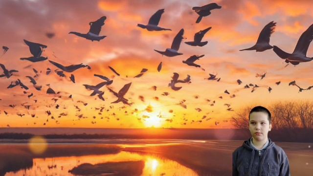 Николай Рубцов «Морошка».