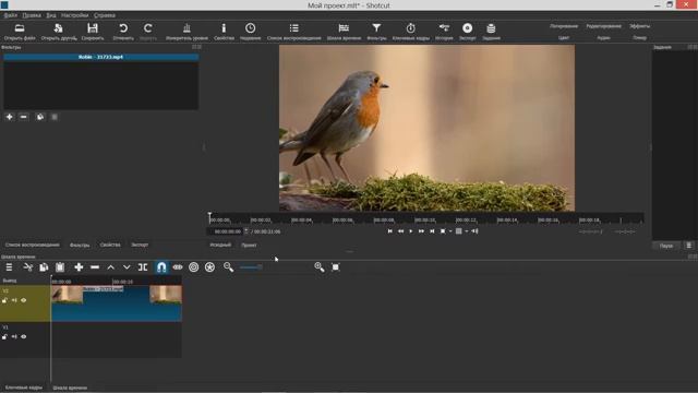 13. Shotcut. Фильтры (Переворот, Зеркальное отражение, RGB-сдвиг)