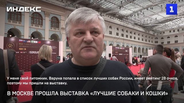 В Москве прошла выставка «Лучшие собаки и кошки»