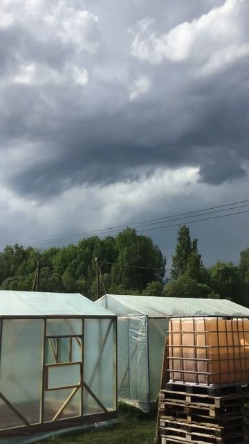 Погода. Ленинградская область. Хвойная. Дача. Слева  солнышко, справа гроза. И ни капли дождя у нас