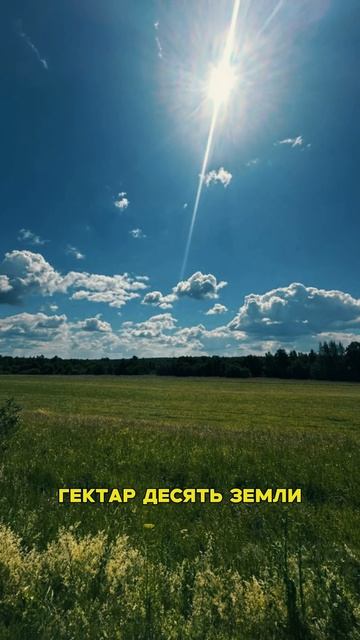 Для одних заработок, для других погибель