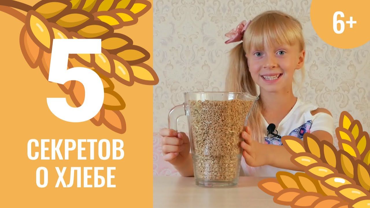 5 секретов о хлебе. Чудеса каждый день. 11 серия (6+)