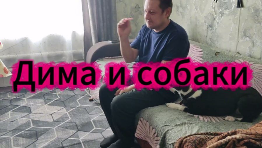 ЖИЗНЬ В ДЕРЕВНЕ .Дима и собаки .