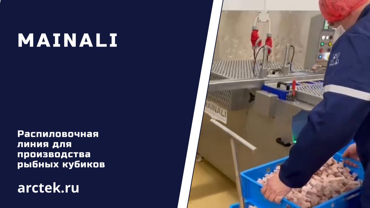 Mainali Распиловочная линия для производства рыбных кубиков