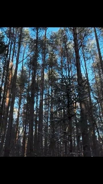 Sun & Snow. Солнце и снег. Музыкальная композиция Андрея Субботина