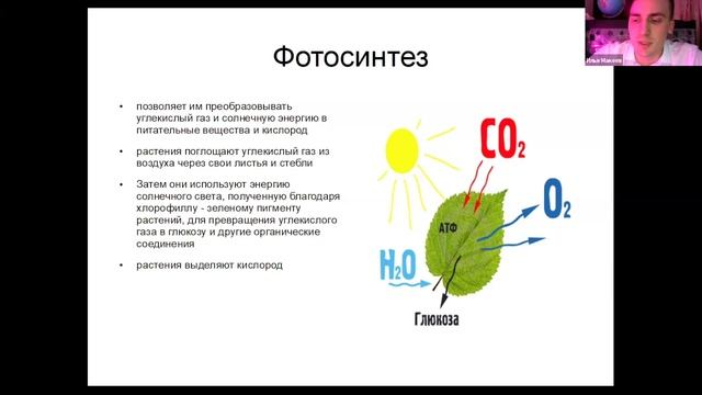Роль зеленых насаждений в комплексной геоэкологической оценке урбанизированных территорий