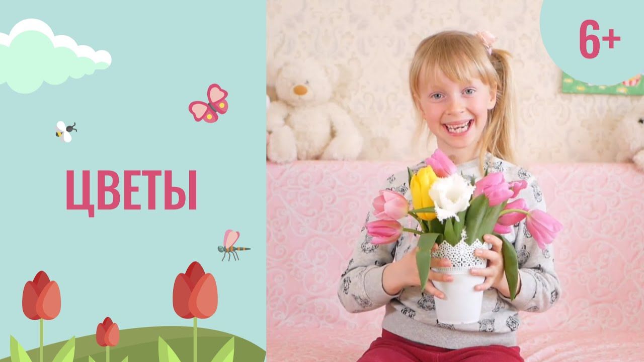 Цветы. Чудеса каждый день. 3 серия (6+)