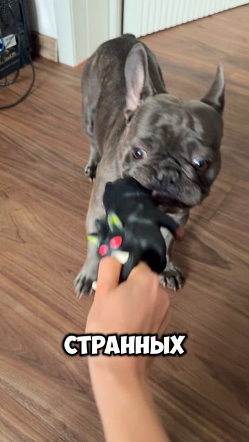 Прелести загородной жизни