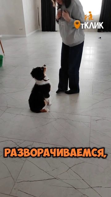 Не спешите наказывать!