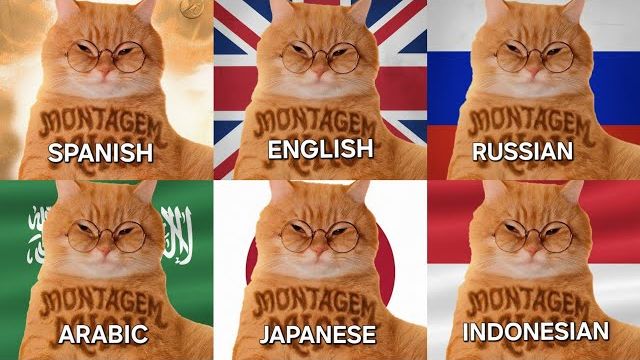 МОНТАГЕМ МЯУ НА ВСЕХ ЯЗЫКАХ! МЕМ ПЕСНЯ ПРО КОТИКА НА РУССКОМ! ЛЕГЕНДАРНОЕ ИСПОЛНЕНИЕ рЕАКЦИЯ