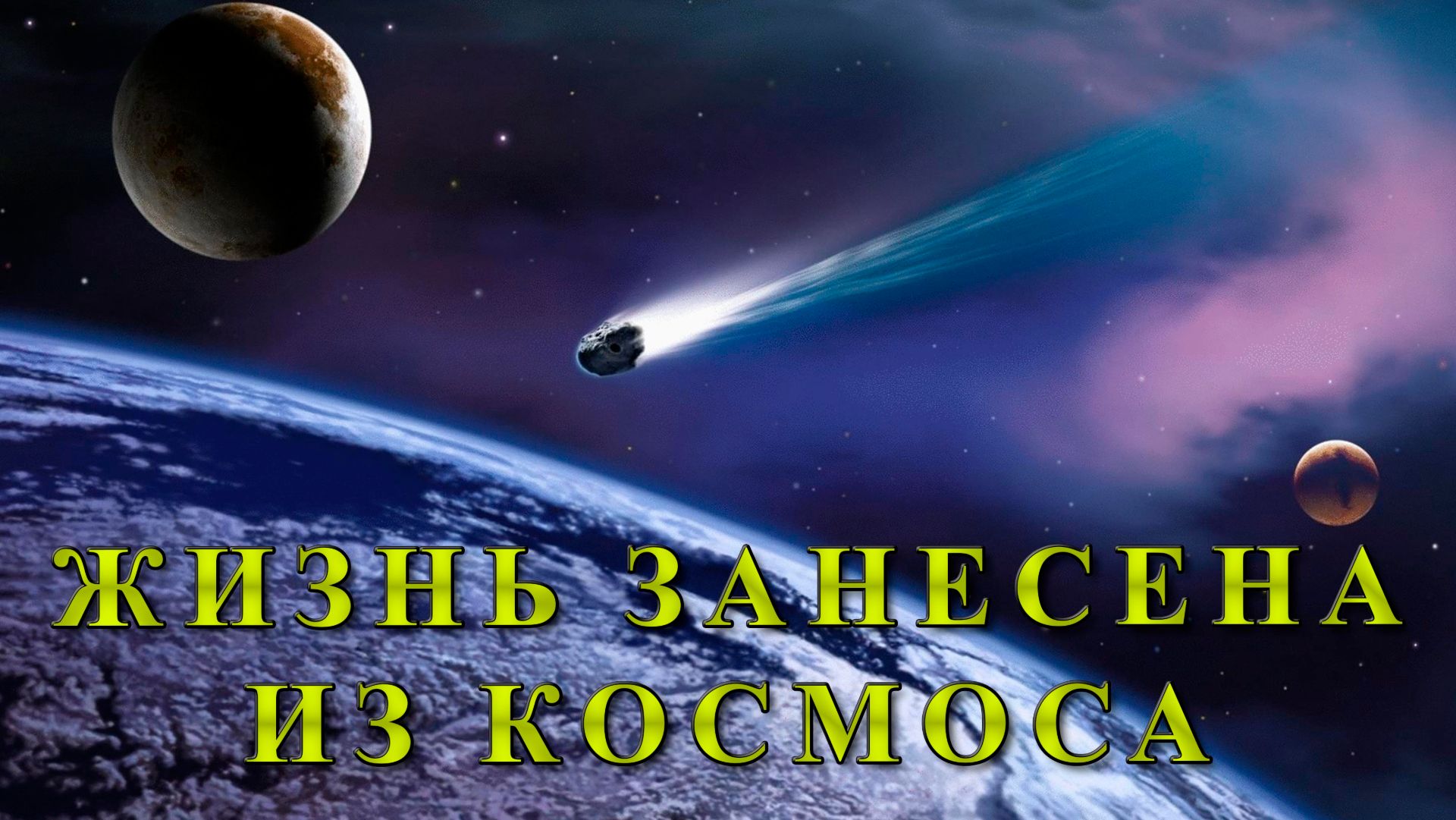 Жизнь занесена из космоса.