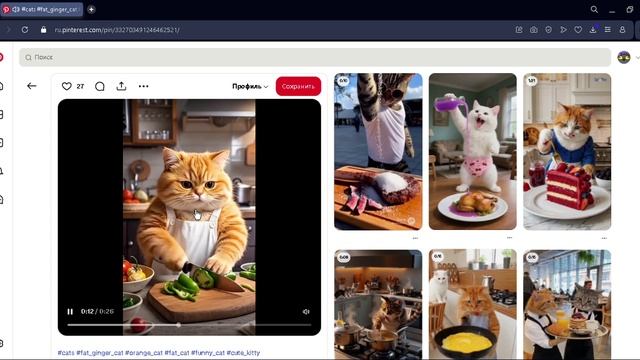 кот сходил в магазин и купил продукты