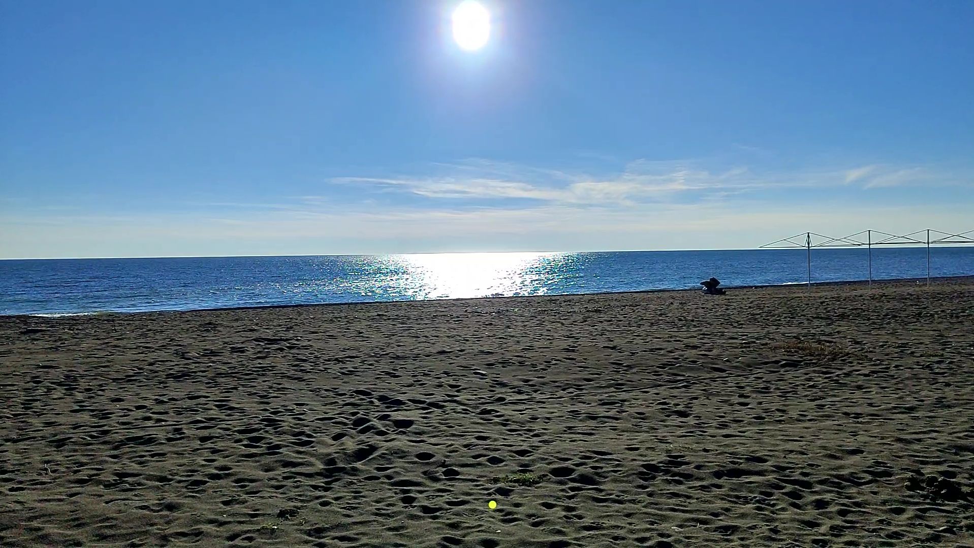 Февраль, плюс 17 градусов. Очередной привоз деревяшек для поделок и несколько тарелочек из самшита.