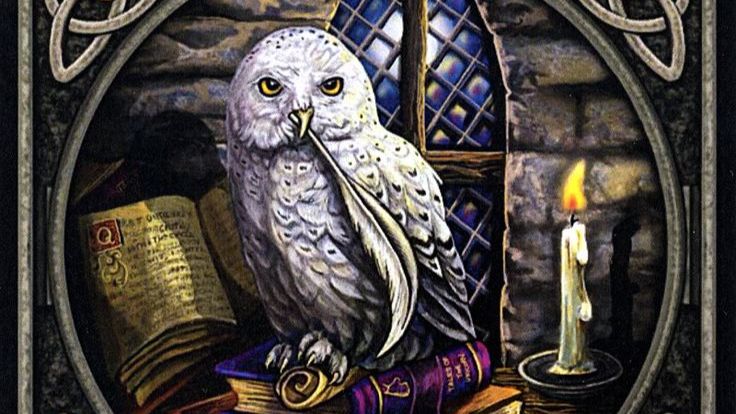 Ответ на ваш вопрос