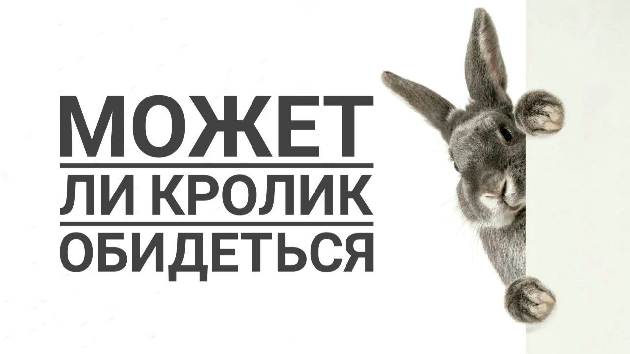 Может ли декоративный кролик обидеться