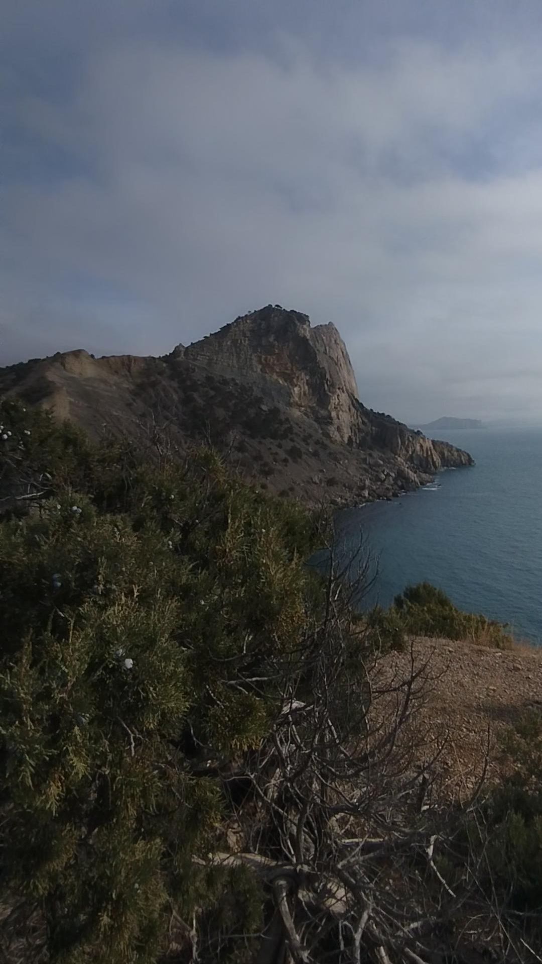 Новый Свет. Февраль 2026