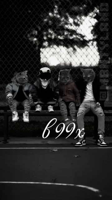 коты из 99х