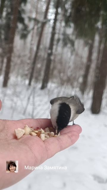 Февральская метель.