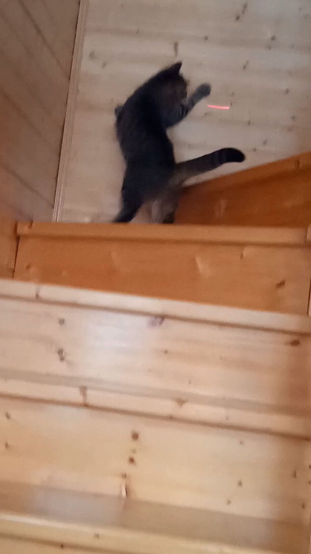 Как поймать лучик