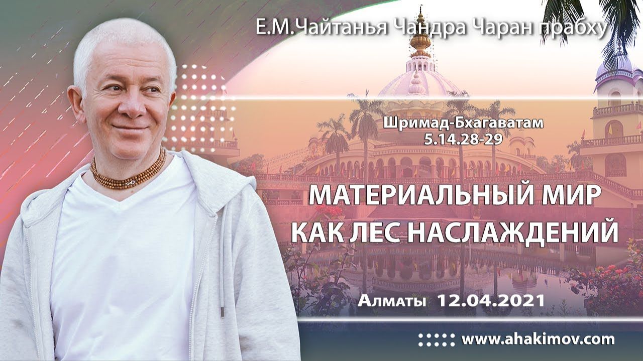 Материальный мир как лес наслаждений. ШБ 5.14.28–29 - Е.М. Чайтанья Чандра Чаран прабху (Алматы)