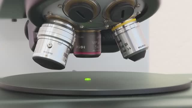 Научная школа САФУ: от фундаментальной физики к технологиям