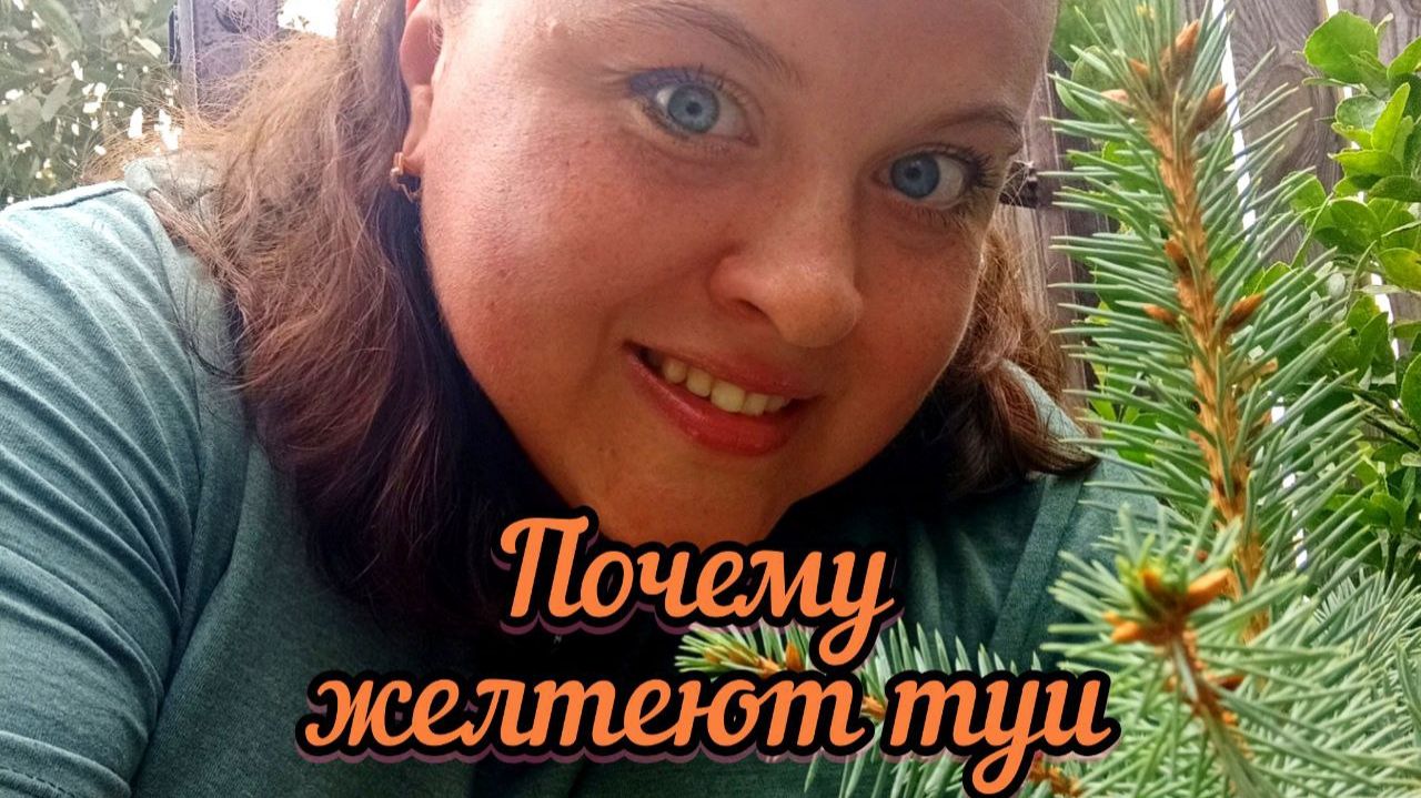 Октябрь. Почему желтеют туи осенью_ Рабочий влог #3 (1)