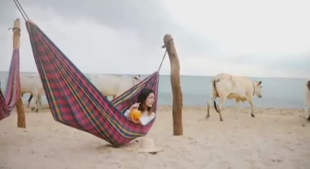 ... Почему Индийцы любят коров больше чем себя....