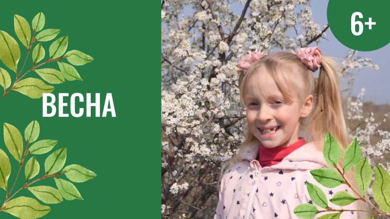 Весна. Чудеса каждый день. 1 серия (6+)