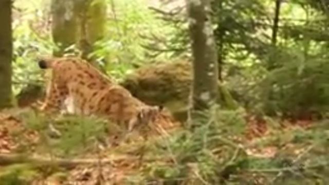 Времена года