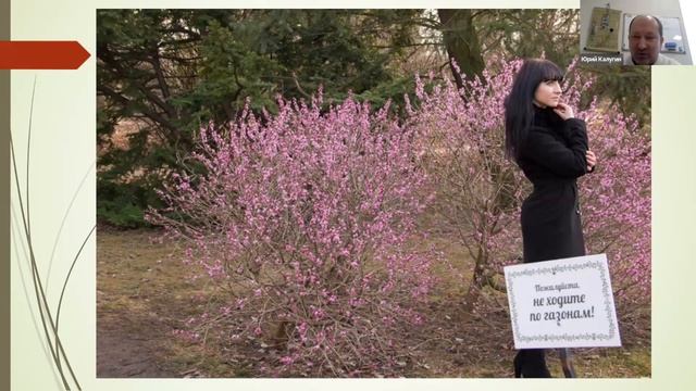 Рекреация без разрушения – опыт Ботанического сада Петра Великого БИН РАН