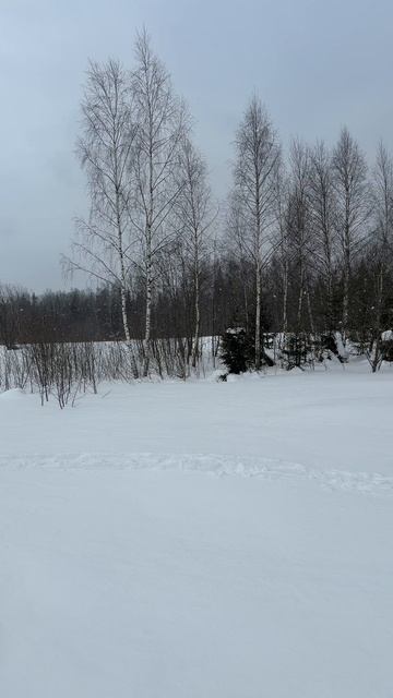 Продается  участок 4 сотки в Коттеджном поселке Соколичев, около д. Полиносово, Александровский р-н