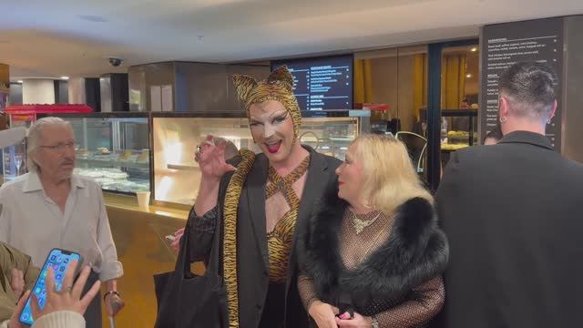 Коты на помойке в Новогоднюю ночь, 2025.