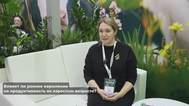 Влияет ли раннее кормление на продуктивность во взрослом возрасте?