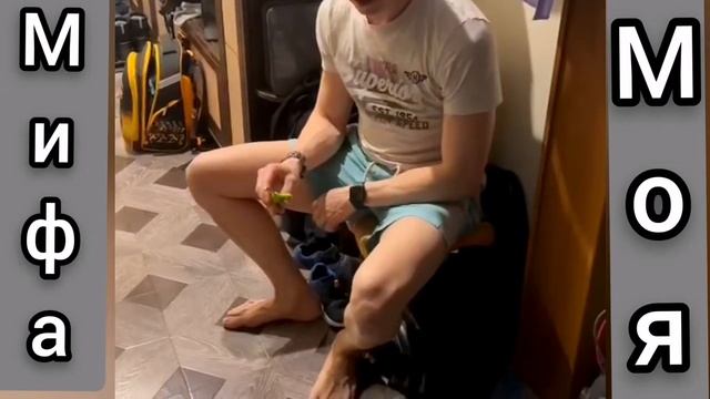 Забавные котики