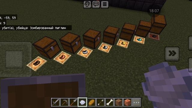 Мой безумный пылигон