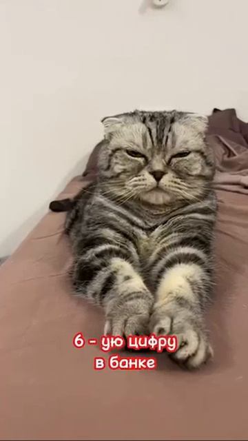 Пожелания Вам.