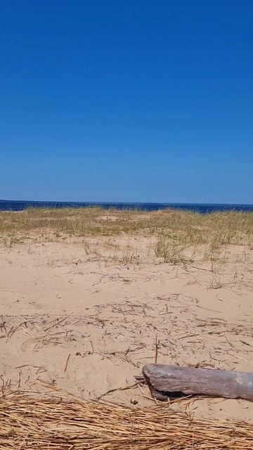 Карелия 2025. Челмужская коса. Онежское озеро. Июль 2025г (Часть 23)