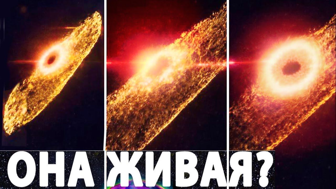 НАСА_ Обнаружена инопланетная цивилизация – сигнал подтверждает_